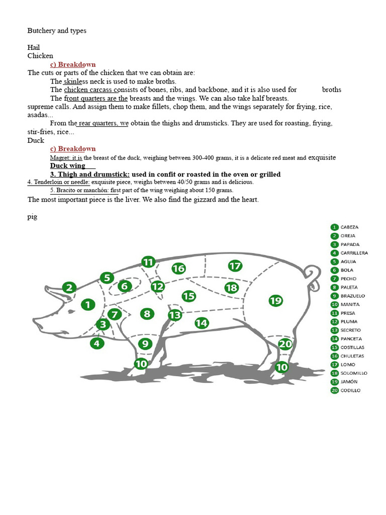 Comprehensive Guide to Butchery Cuts | PDF | Beef | Lamb And Mutton