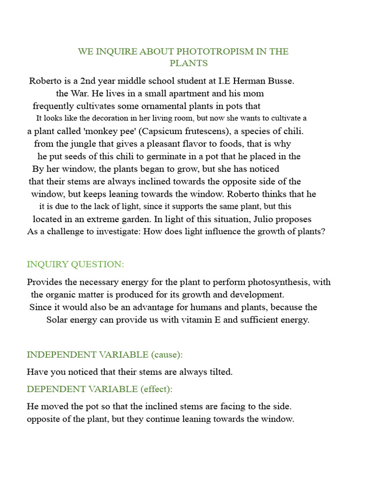 Phototropism | PDF | Plants | Chili Pepper