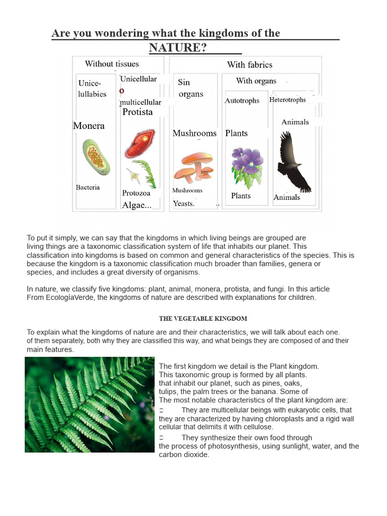The Kingdoms of Nature | PDF | Fungus | Plants