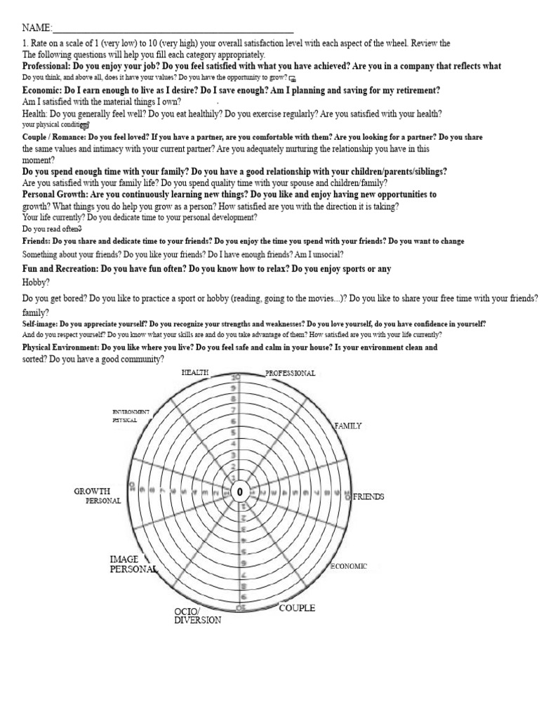 Life Satisfaction Wheel Assessment | PDF | Family | Intimate Relationships