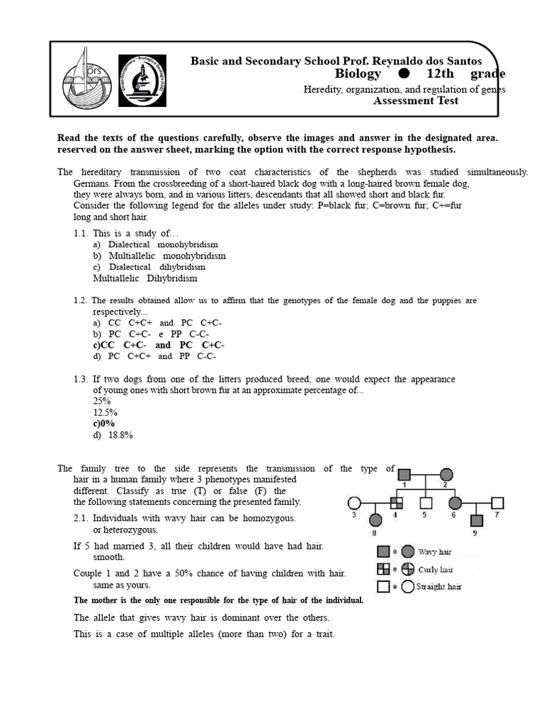 Biology Worksheet 12th Grade | PDF | Zygosity | Allele
