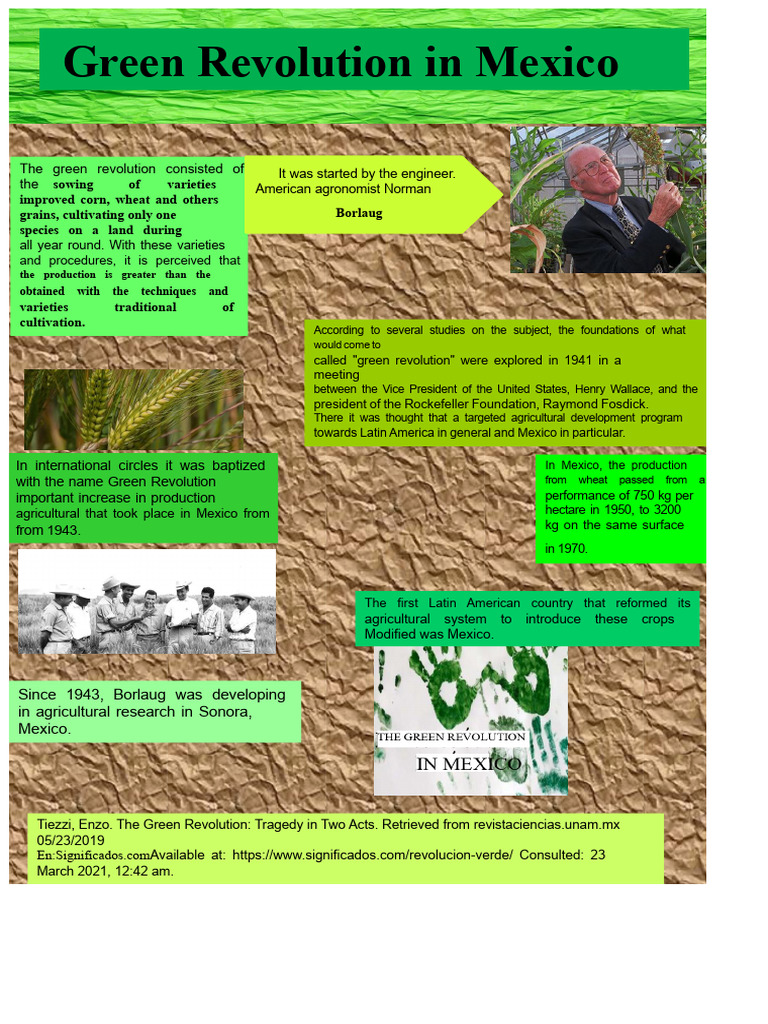 Green Revolution Impact on Mexico's Agriculture | PDF | Green ...