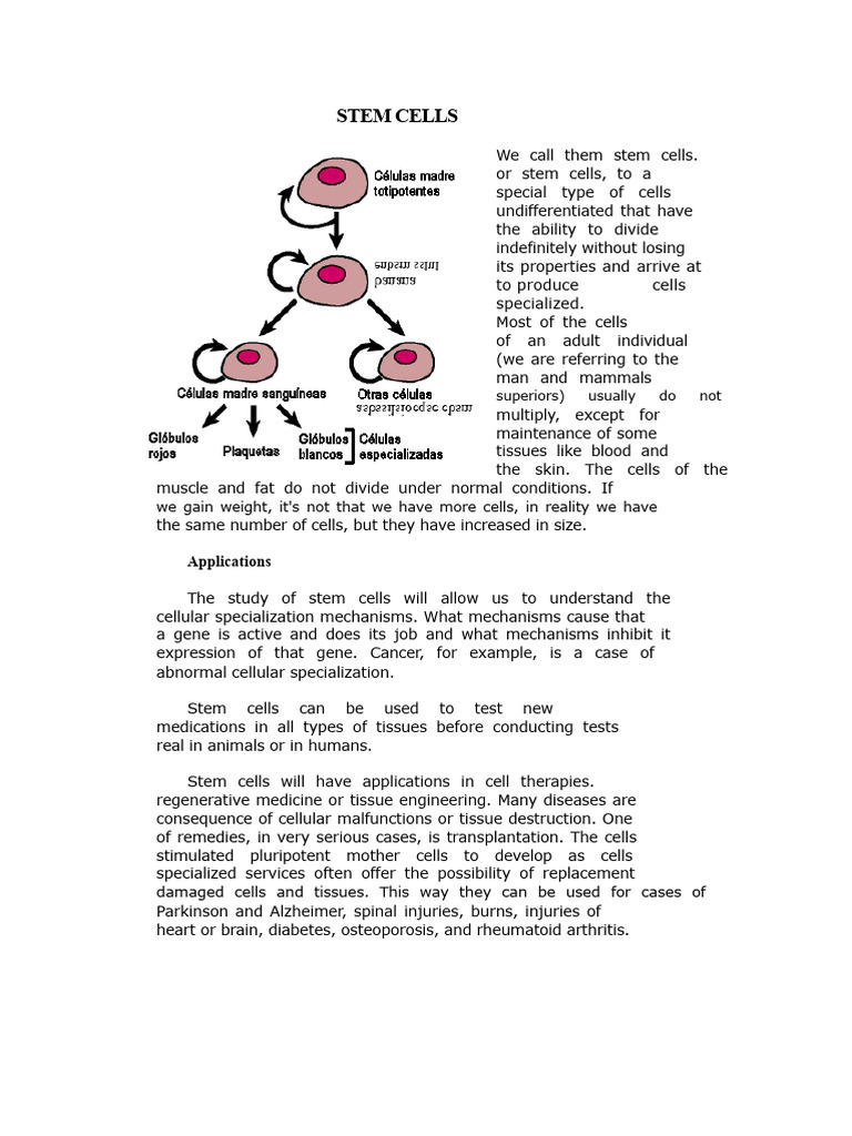 Understanding Stem Cells and Their Applications | PDF