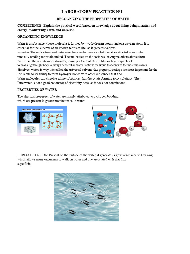 Properties of Water: Experiments & Insights | PDF | Water | Properties ...