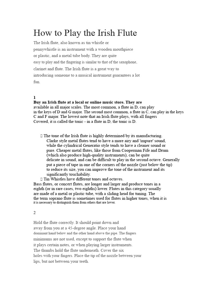 Guide to Playing the Irish Flute | PDF | Flute | Musical Instruments