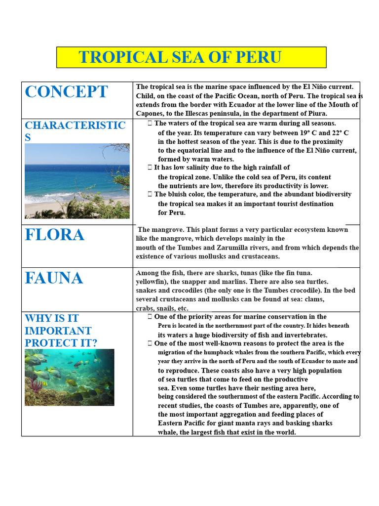 Tropical Sea of Peru | PDF | Sea | Mangrove
