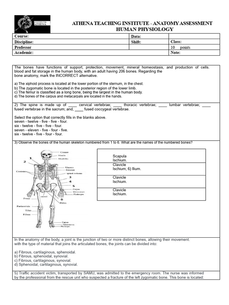 Anatomy Test | PDF | Human Digestive System | Bone
