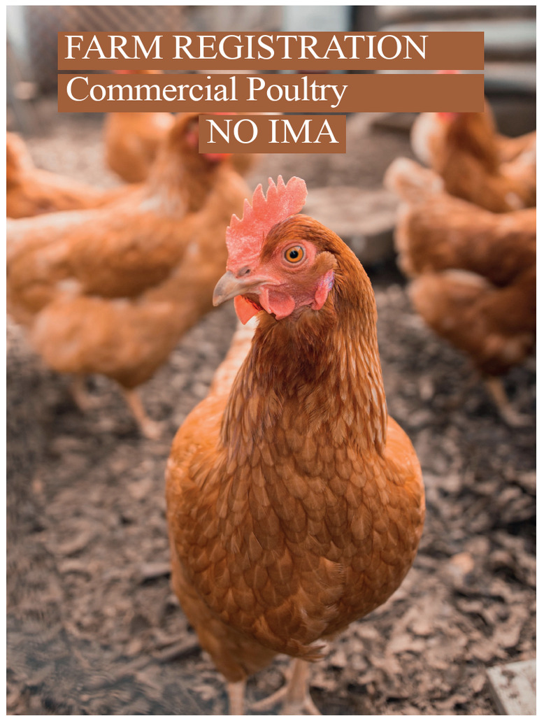 Farm Registration for Poultry Producers | PDF | Chicken | Poultry