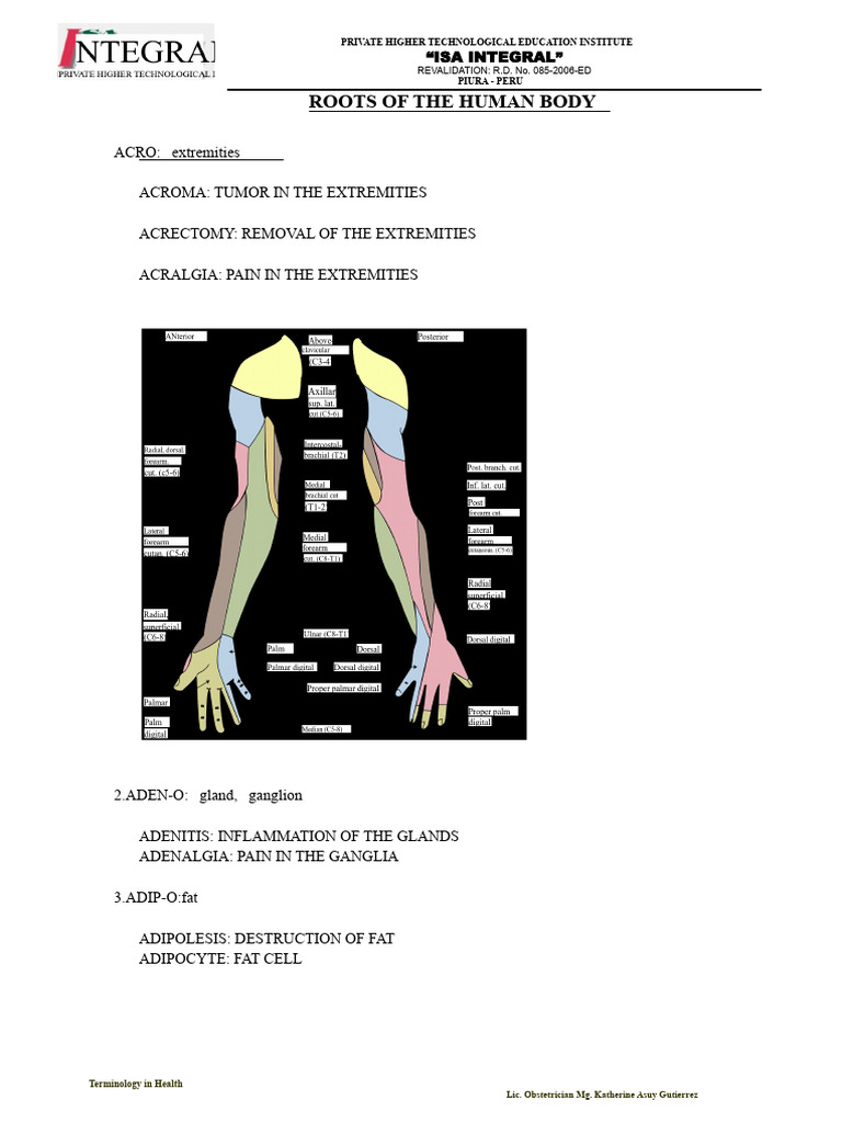 Roots of The Human Body Examples Kag | PDF | Abdomen | Thorax