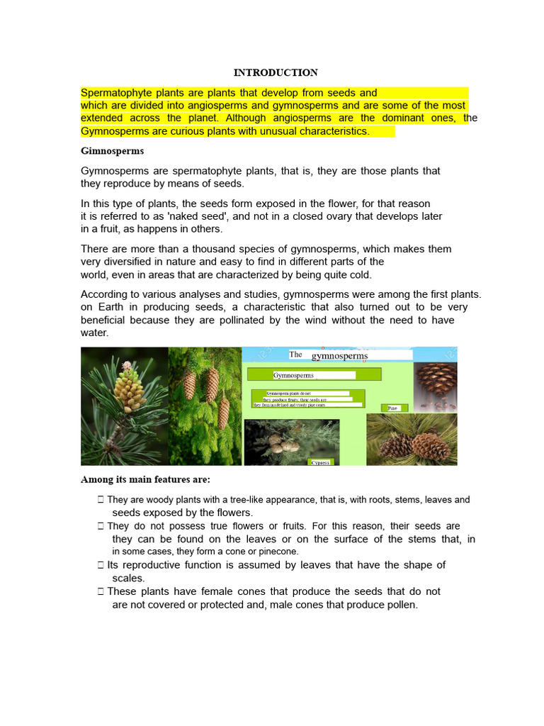 Angiosperms and Gymnosperms | PDF | Seed | Flowers