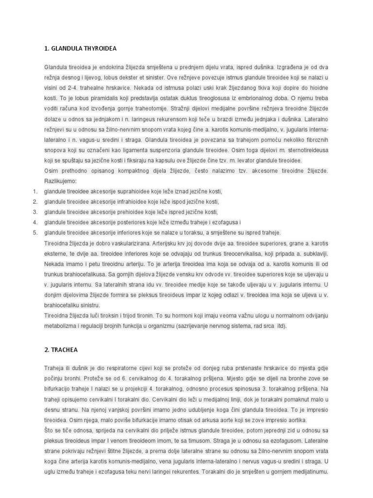 Anatomija Skripta | PDF