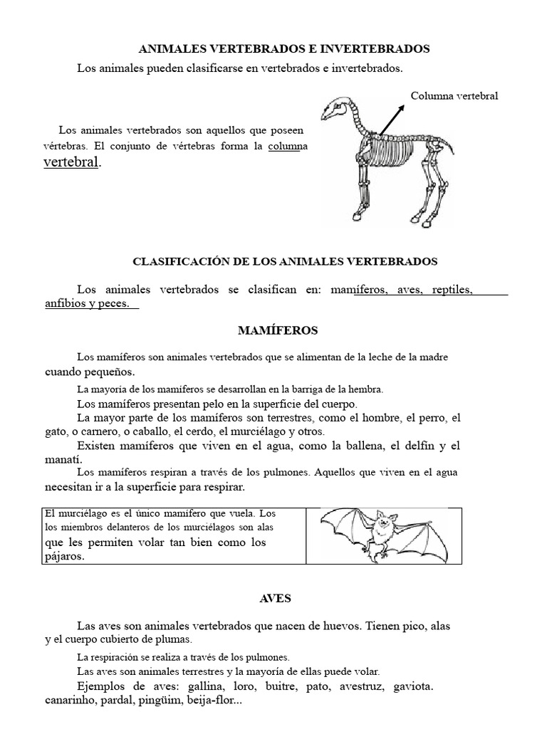 0219-Animales Vertebrados e Invertebrados-Ciencias | PDF | Aves | Mamíferos