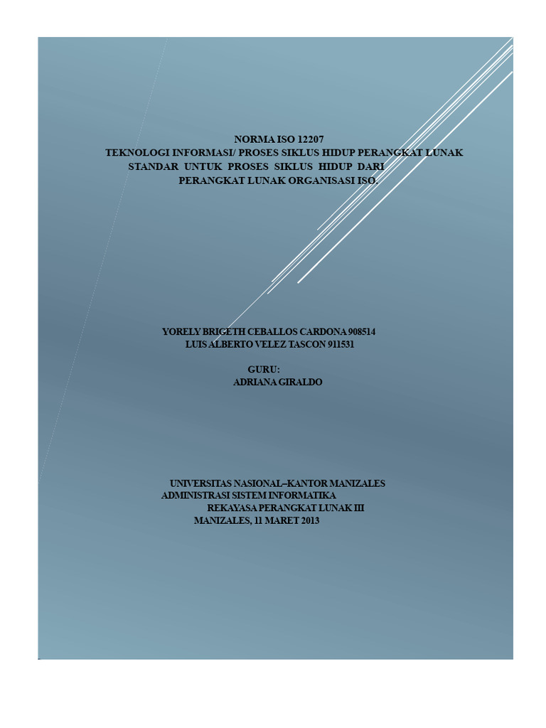 Panduan Norma ISO 12207 Perangkat Lunak | PDF