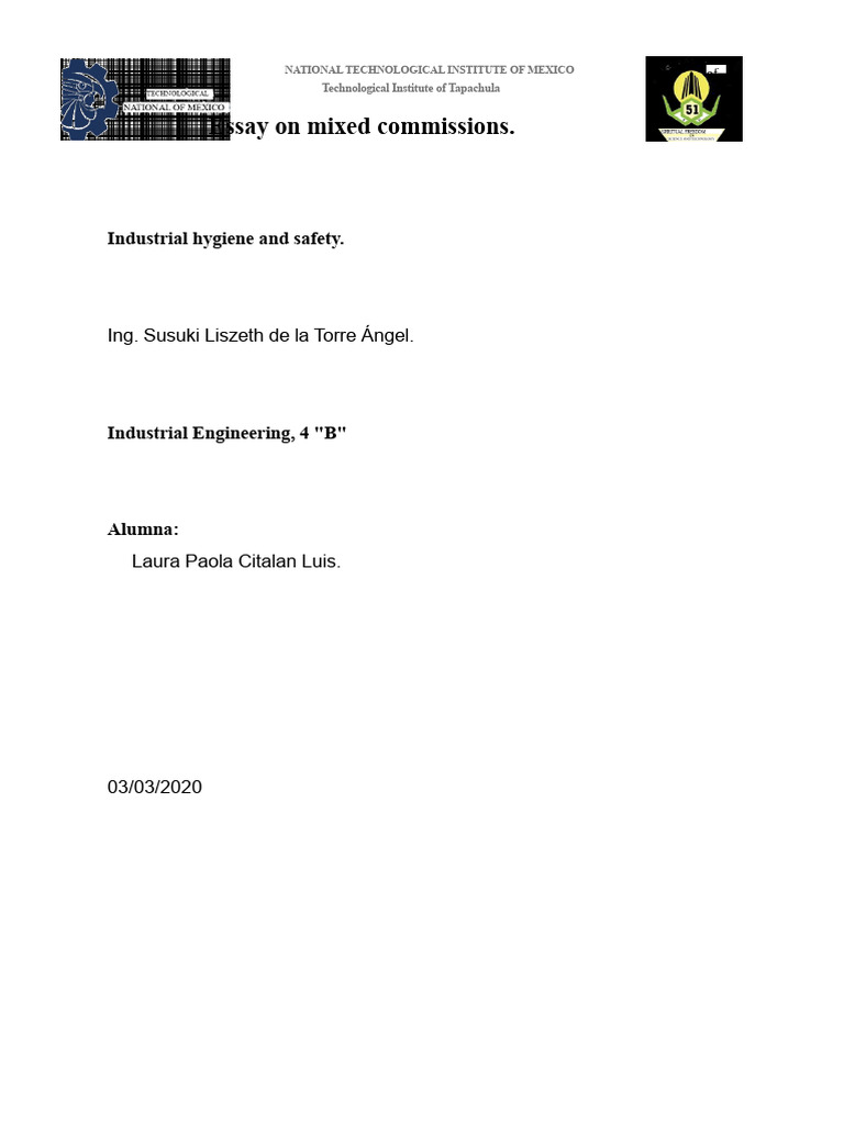 Essay On Mixed Commissions | PDF | Safety | Employment