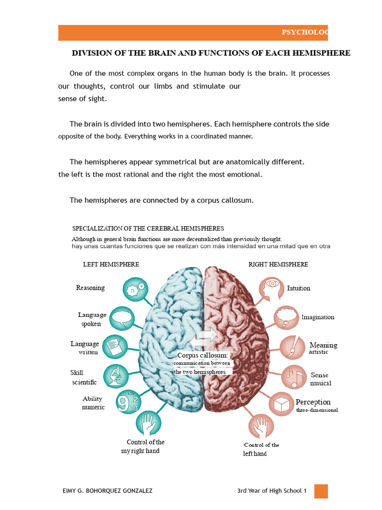Brain Psychology | PDF | Cerebral Hemisphere | Parietal Lobe