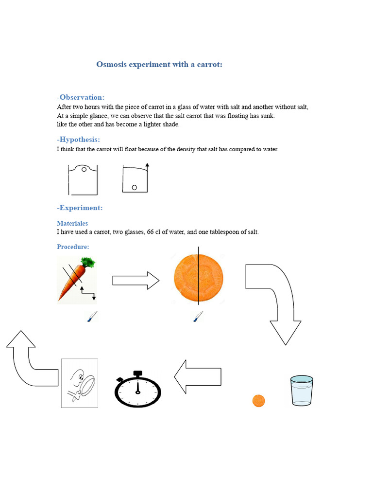 Osmosis Experiment With A Carrot | PDF