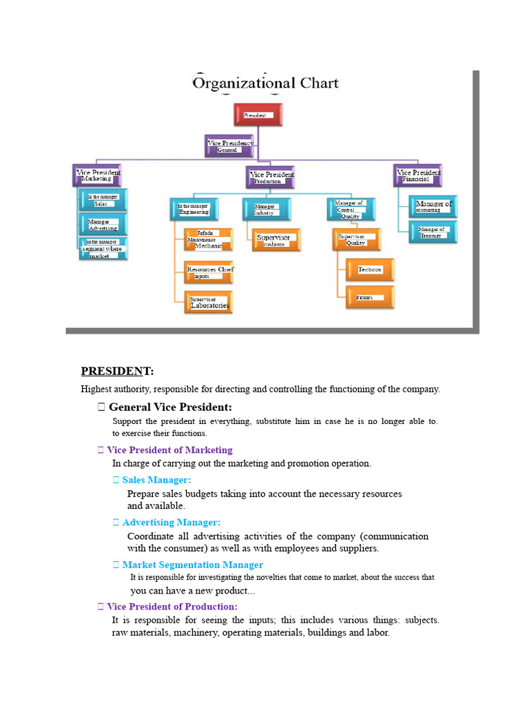 Coca-Cola Organizational Structure Overview | PDF | Marketing | Supply ...