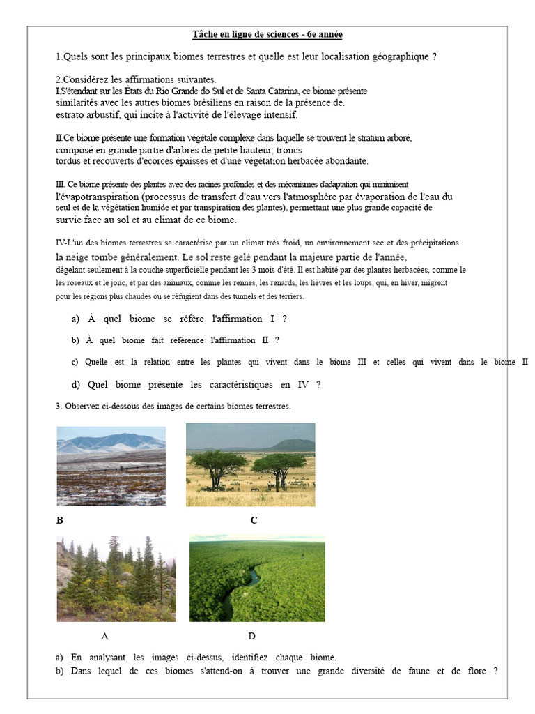 Biomes terrestres : caractéristiques et adaptations | PDF | Plantes ...