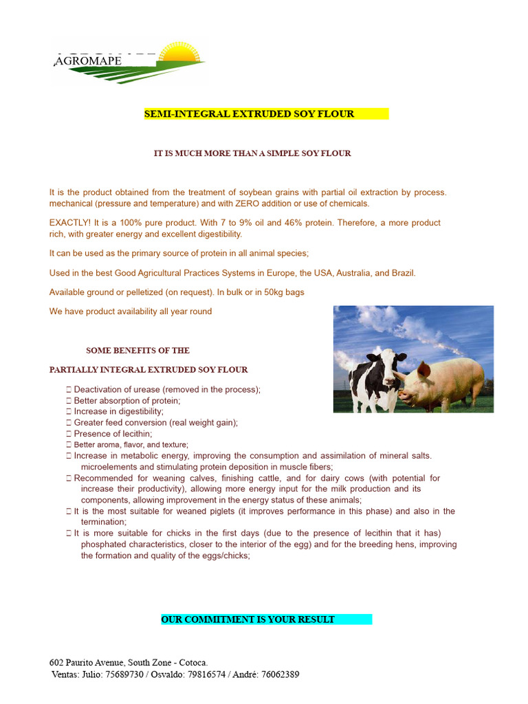 Pamphlet - Semi-Whole Extruded Soy Flour 4 | PDF | Soybean | Foods