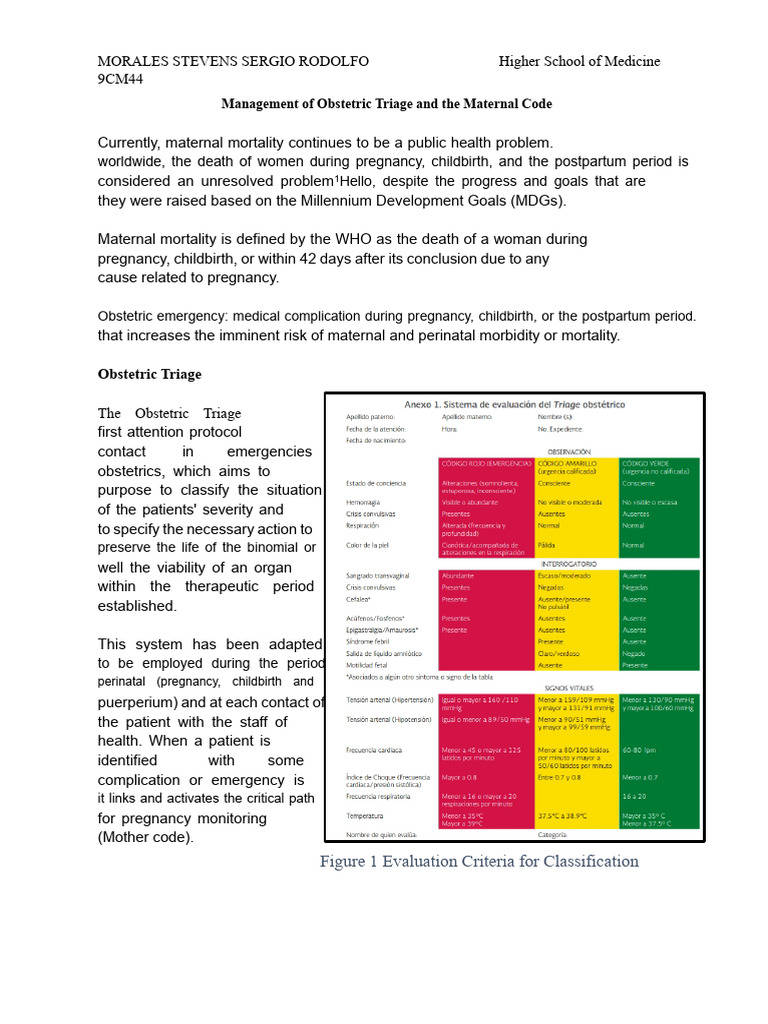 OBSTETRIC TRIAGE Sergio Rodolfo Morales Stevens | PDF | Maternal Death ...