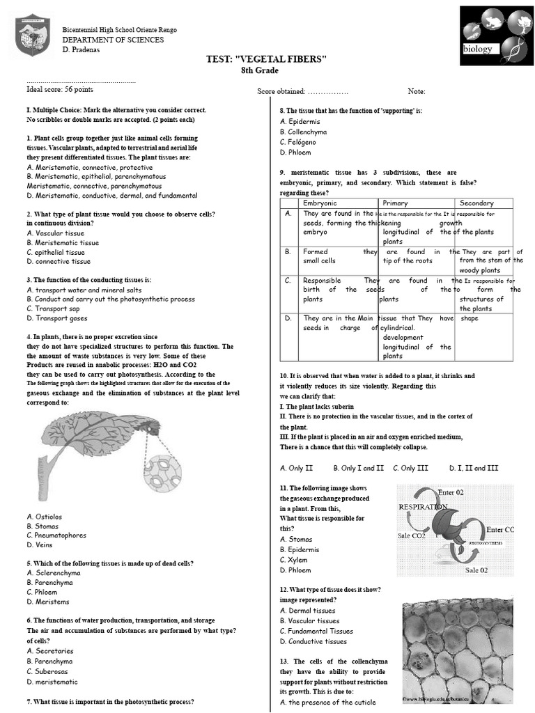 Plant Tissues Test 8 | PDF | Tissue (Biology) | Anatomy