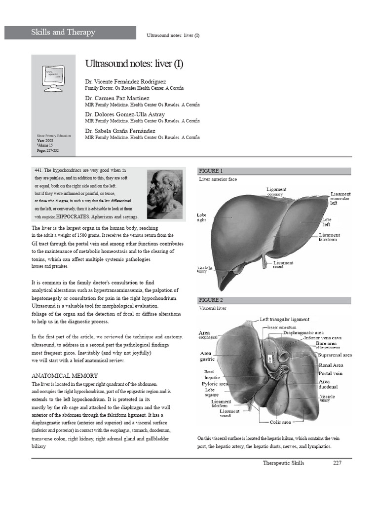 Ultrasound Notes - Liver (I) | PDF | Liver | Abdomen
