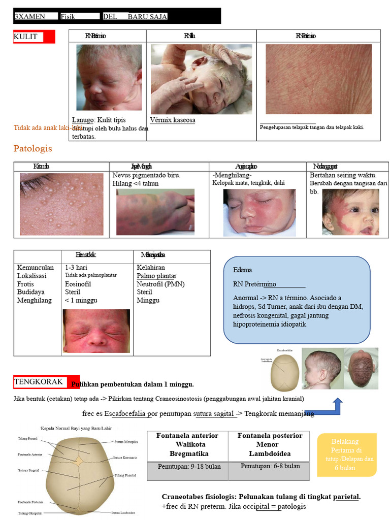 Pemeriksaan Fisik Bayi Baru Lahir | PDF