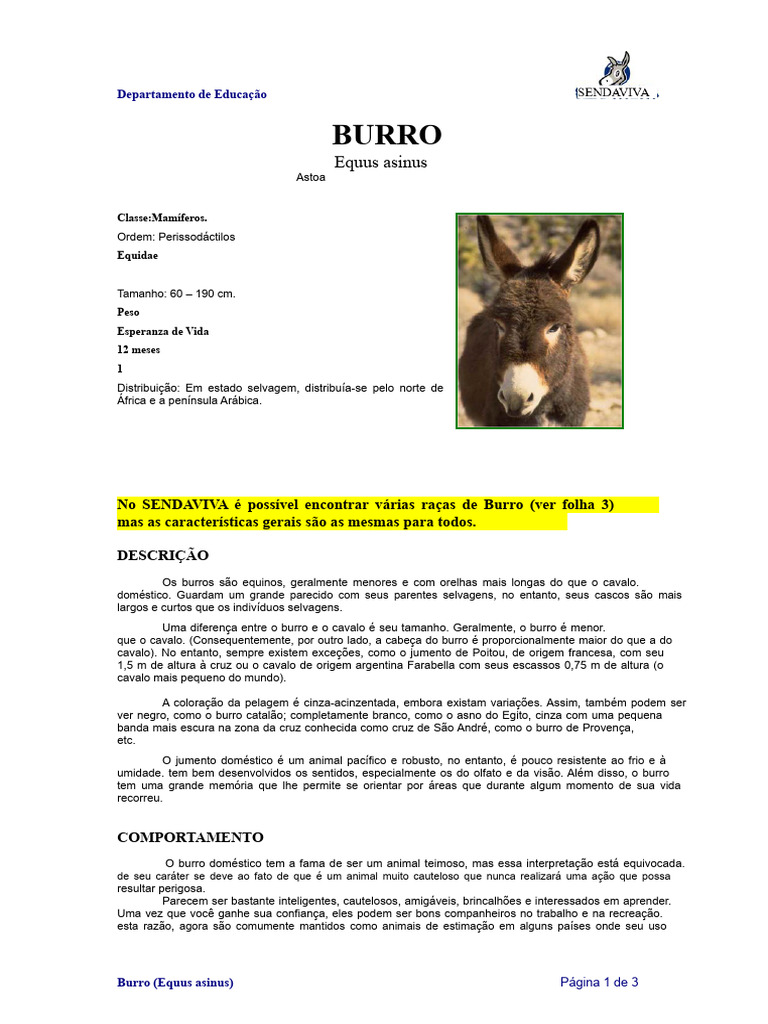 Ficha BURRO - Equus Asinus | PDF | Asno | Cavalos
