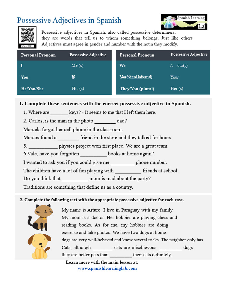 The Possessive Adjectives in Spanish Worksheet | PDF