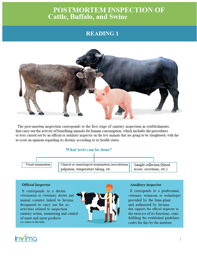 M3 - Reading 1. Ante Mortem Inspection | PDF | Infection | Meat
