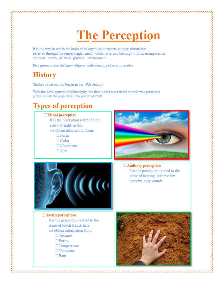 The Perception | PDF | Perception | Senses