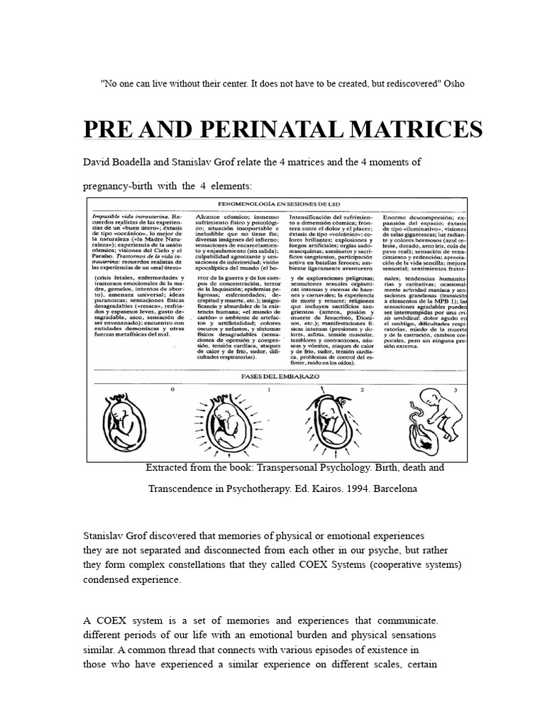 3 Matrices Pre and Perinatal Diverse Articles PDF | PDF | Thorax | Abdomen