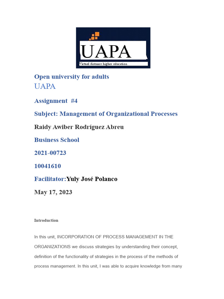 Management of Organizational Processes - Task 4 | PDF | Business ...