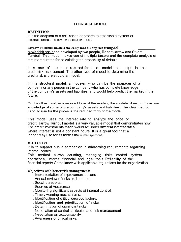 Turnbull Model | PDF | Internal Control | Audit