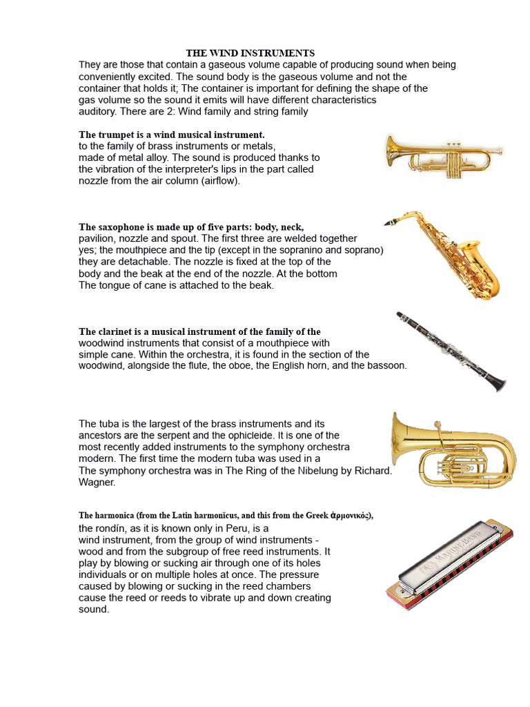 The Instruments | PDF | String Instruments | Violin