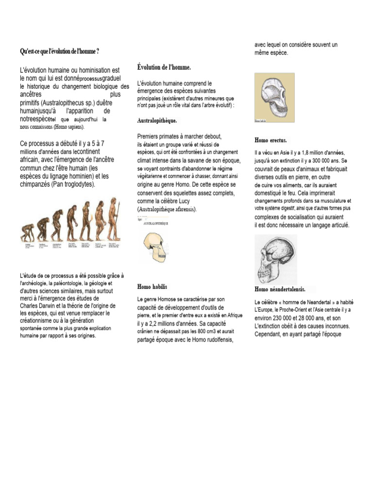 Évolution de l'Homme : Des Australopithèques à Homo sapiens | PDF ...