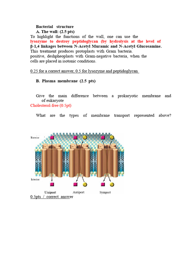 Corrected Type of Microbiology Resit Exam 2016 | PDF | Bacteria | Ribosome