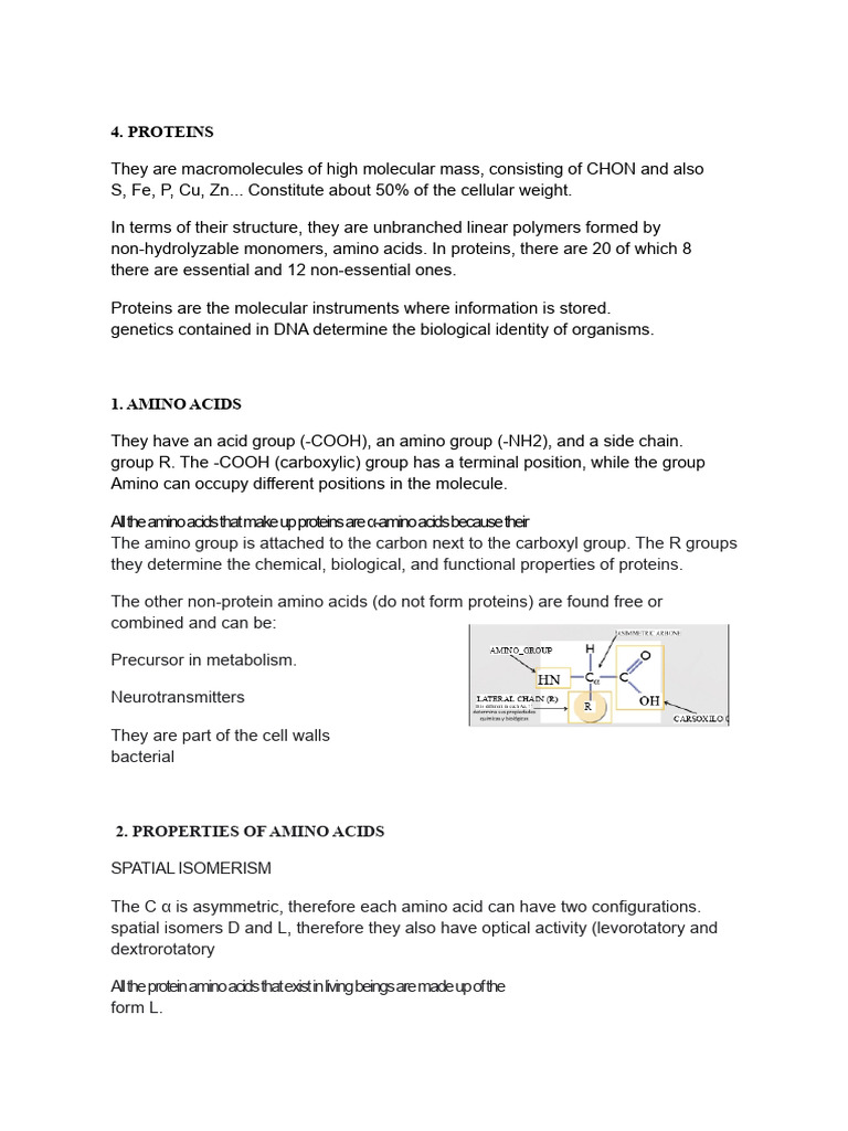 Summary Bio Proteins | PDF | Amino Acid | Proteins