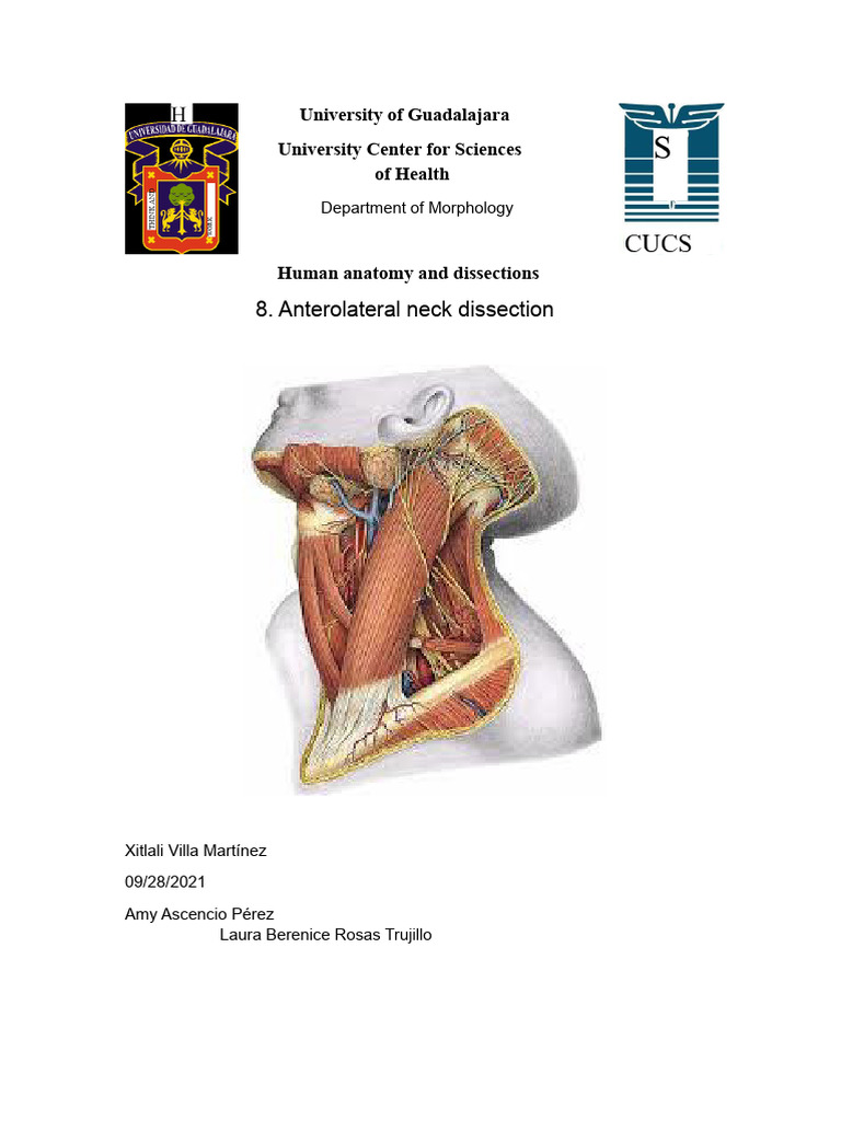 Anterolateral Neck Dissection | PDF | Neck | Common Carotid Artery