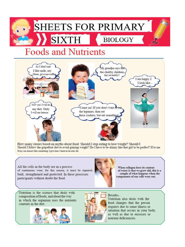 Foods and Nutrients For Sixth Grade | PDF | Foods | Nutrition