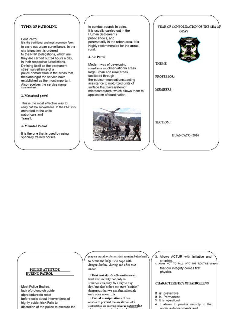 Types of Patrol | PDF | Police | Criminal Law