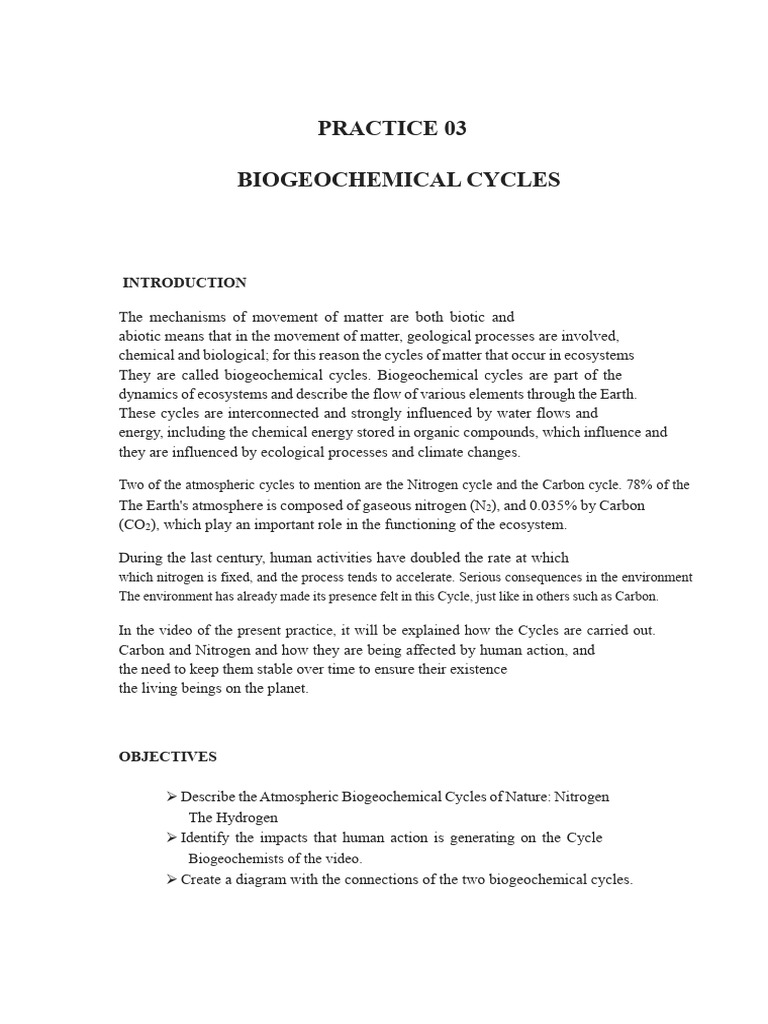 Practice 03 | PDF | Ecosystem | Systems Ecology