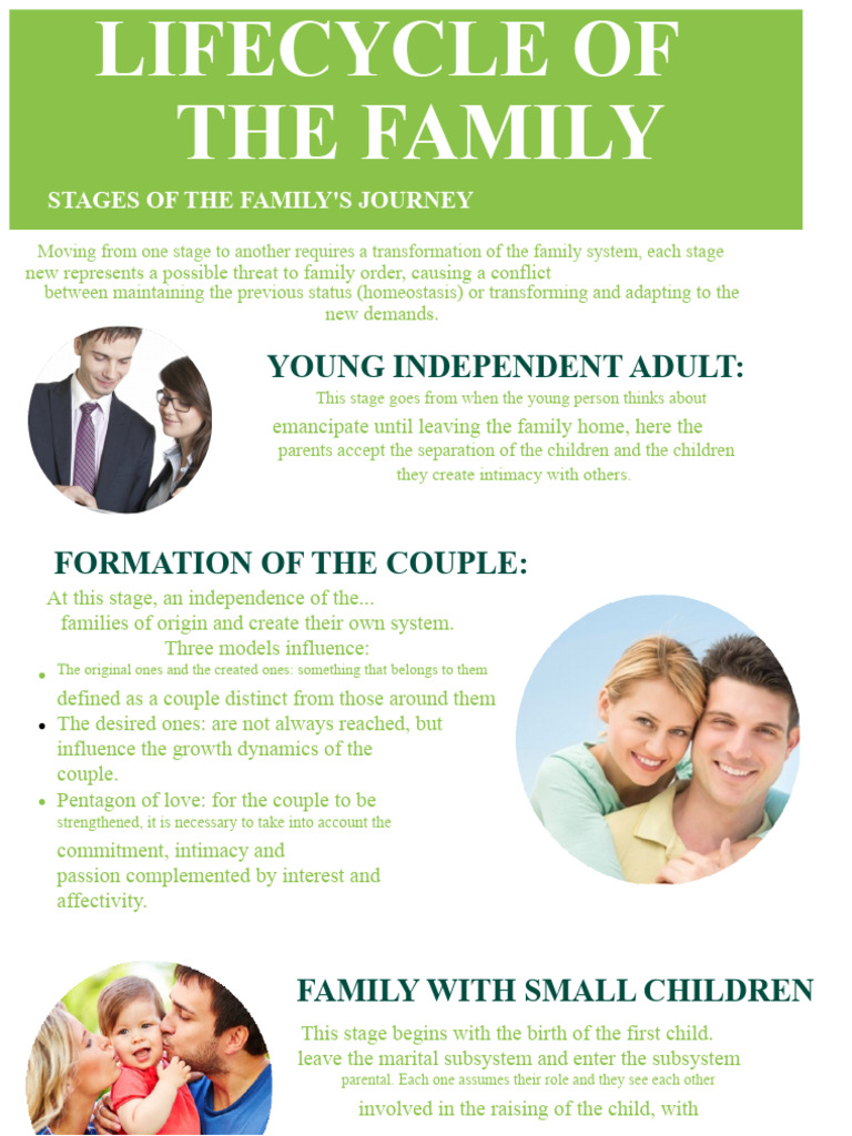 Family Life Cycle Stages Infographic | PDF | Divorce | Adolescence
