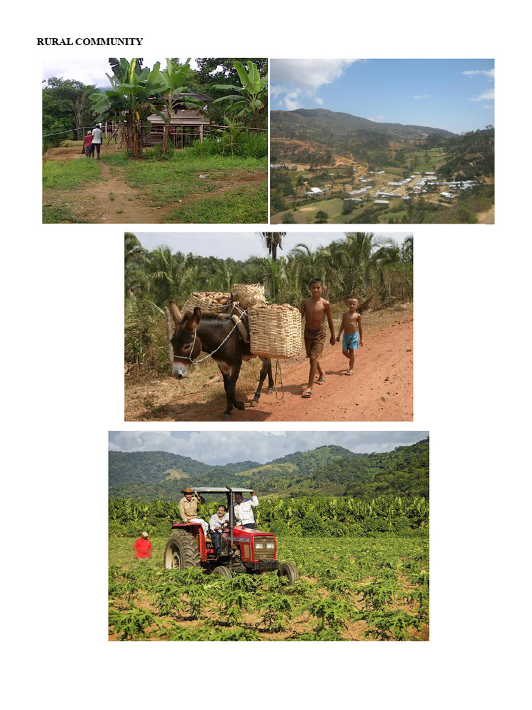 Rural vs. Urban Community Differences | PDF | Rural Area | Urban Area
