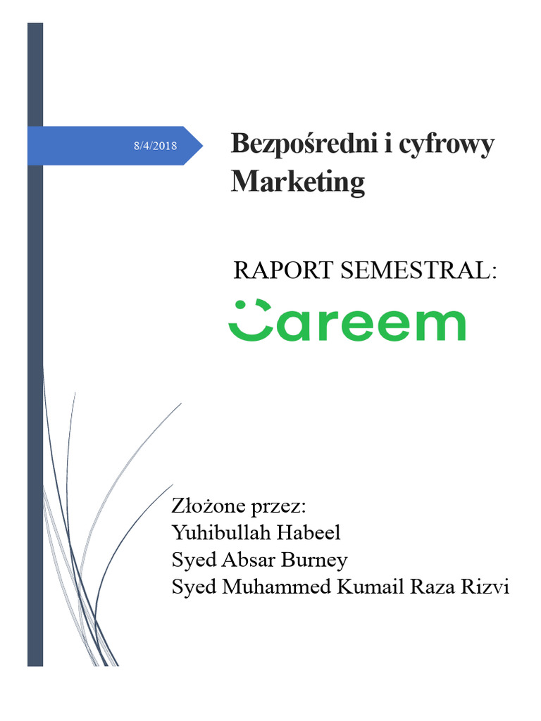 Raport Końcowy DDM Careem | PDF