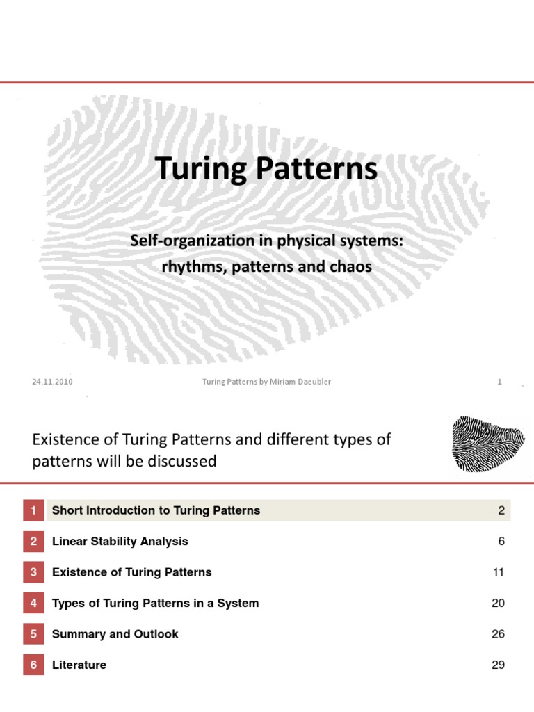 Turing Patterns | PDF | Stability Theory | Partial Differential Equation