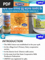 Country Codes Iata | PDF