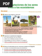 Timeline, History of Pharmacy | PDF | Pharmacy | Medicine