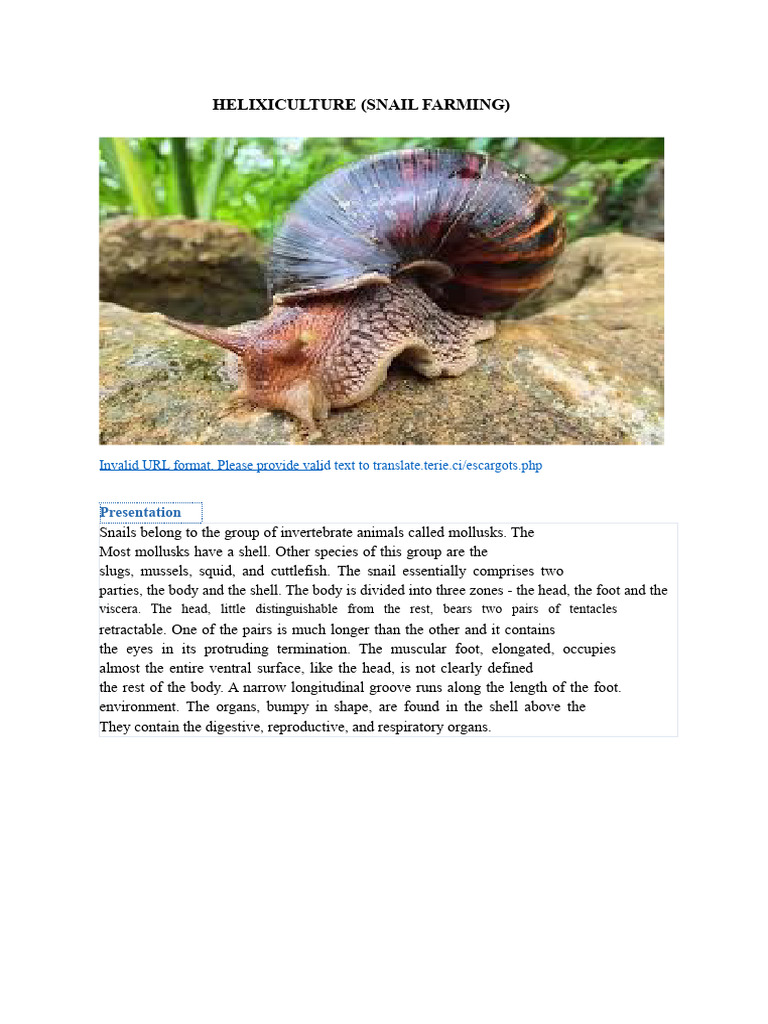 Snail Farming Complete Document Ci | PDF | Agriculture | Mollusca
