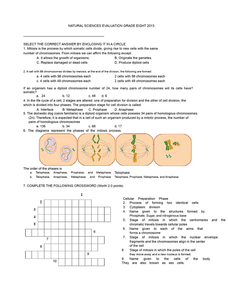 Natural Sciences Assessment Grade Eight 2013 Mitosis Meiosis | PDF ...